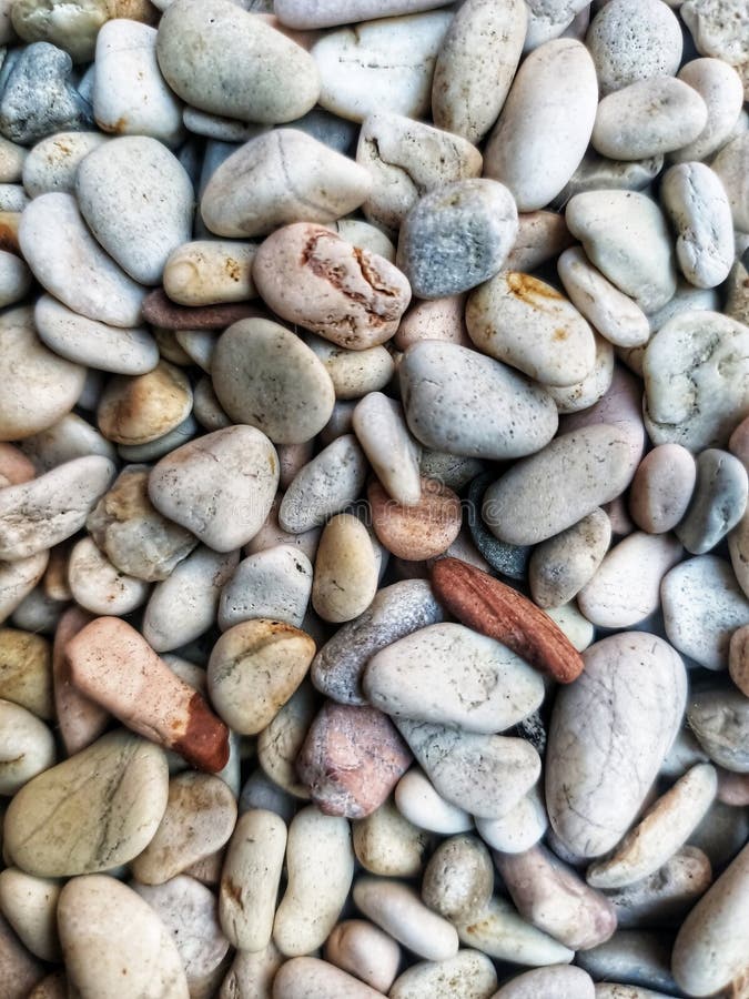 Coral Natural Stone with Various Sizes and Colors Stock Image - Image ...