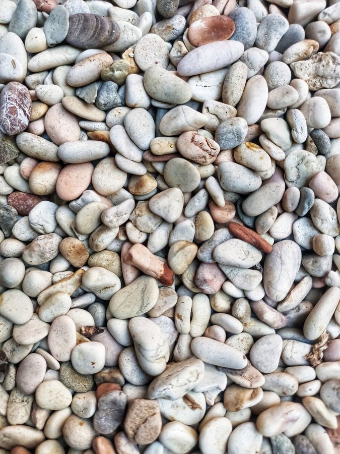 Coral Natural Stone with Various Sizes and Colors Stock Image - Image ...