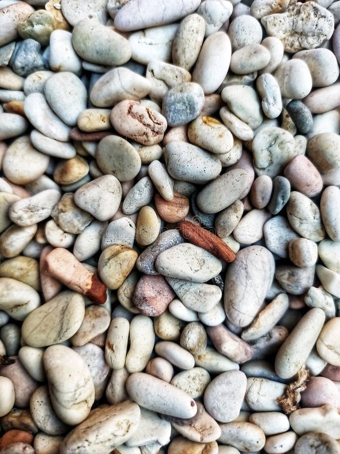 Coral Natural Stone with Various Sizes and Colors Stock Image - Image ...