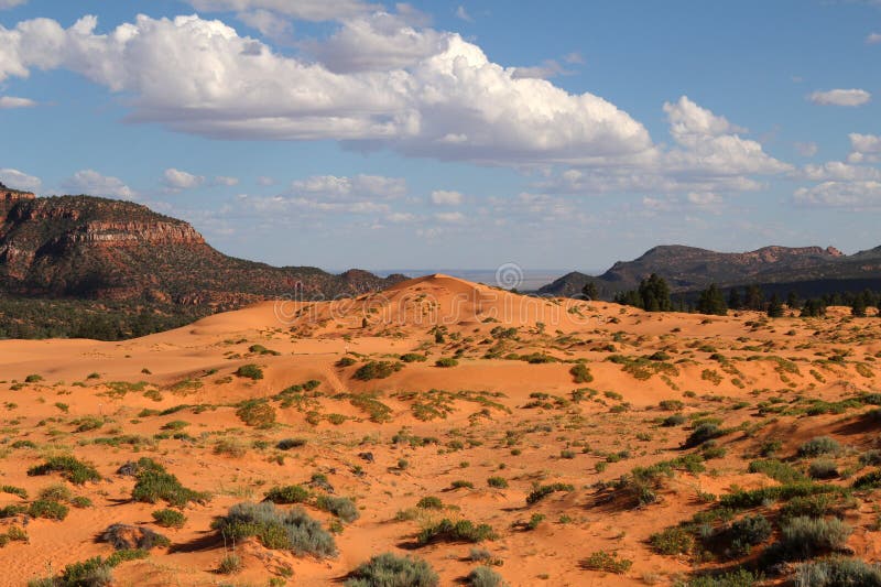 Coral Pink Sand Dunes stock image. Image of landscape - 348919093