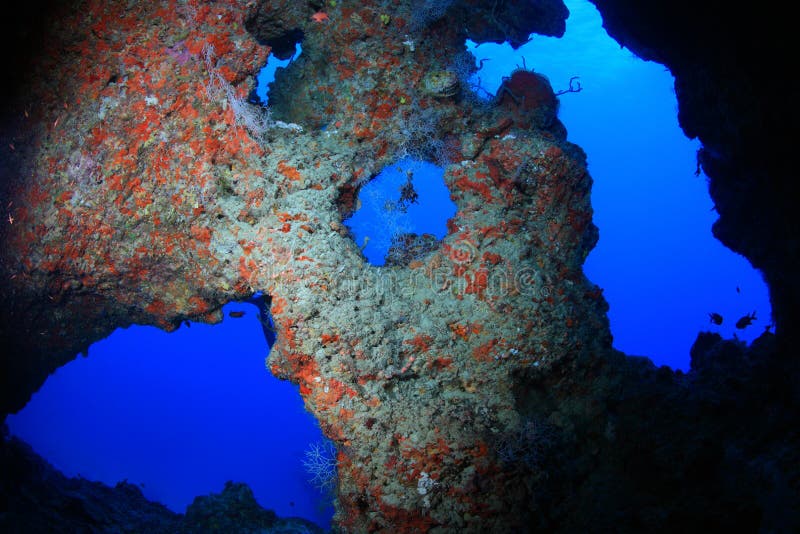 Coral reef cave stock image. Image of outdoor, indian - 29326135