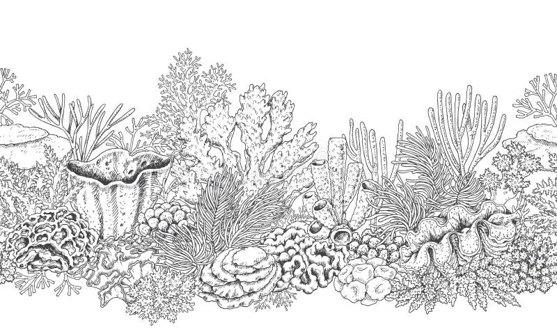 Coral Reef Line Horizontal Pattern Ilustración del Vector - Ilustración ...