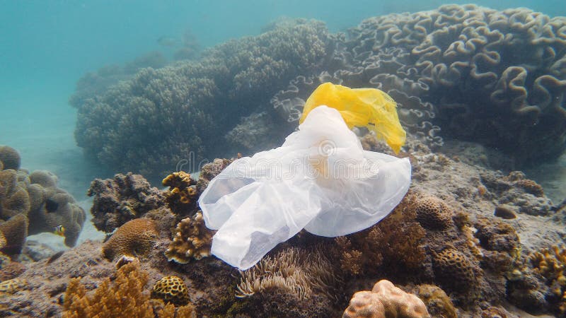 Coral Reef Polluted with Plastic Bag. Stock Image - Image of ecology ...