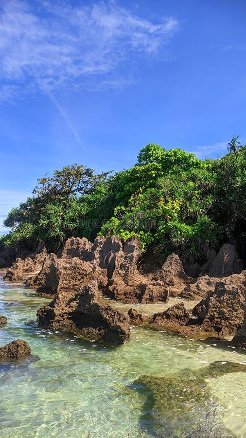 Coral Reefs the Beautiful One Stock Image - Image of beautiful, reefs ...