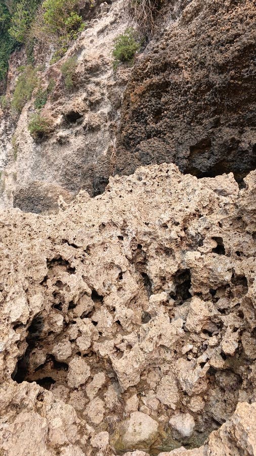 Coral Reefs and Cliffs on the Coast Stock Image - Image of dark, nature ...