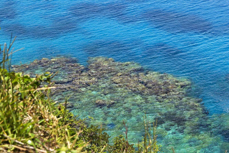 Coral Reefs at the Cliffs of Jokin Stock Photo - Image of reef, color ...