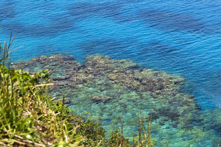 Coral Reefs at the Cliffs of Jokin Stock Photo - Image of reef, color ...