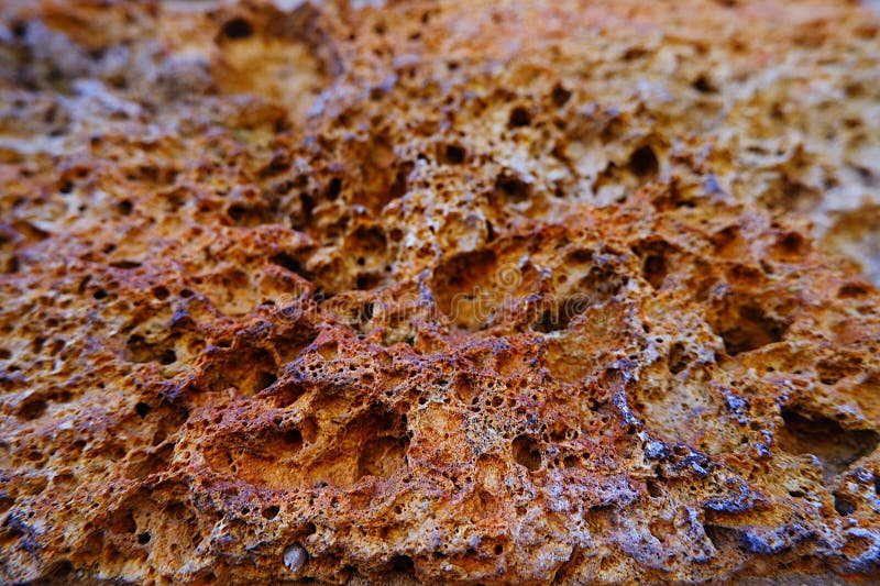 Coral rock stock photo. Image of beauty, natural, tropical - 278232162