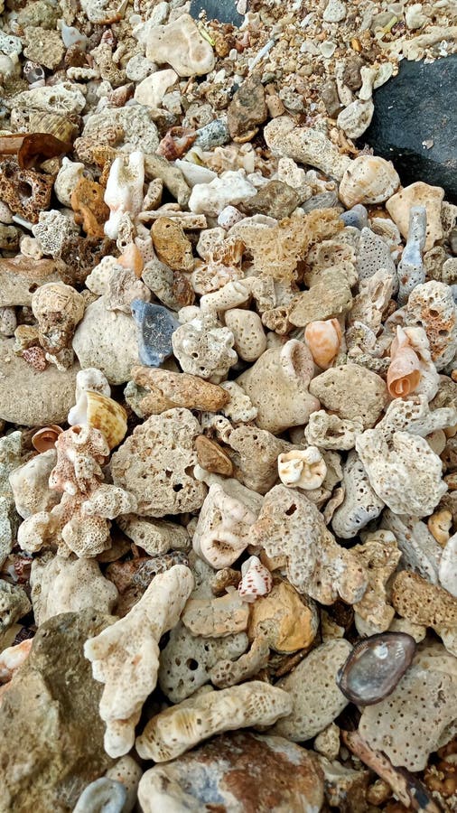 Coral Rocks at the Edge of the Sea Stock Image - Image of dessert ...