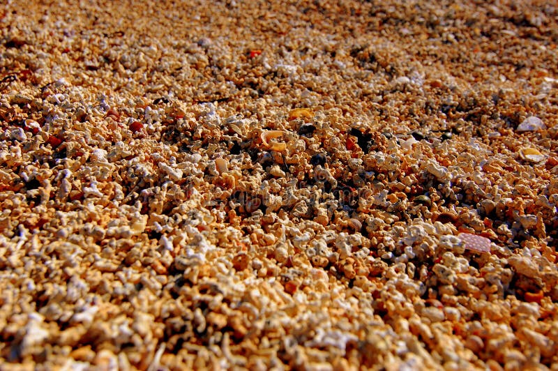 Sand Grains Under a Polarizing Microscope, from Machu Picchu Stock ...