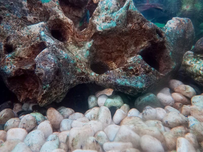 Coral, Sea Rocks, Fish Habitat View for Background Stock Photo - Image ...
