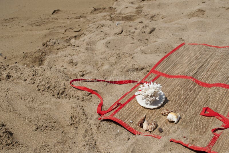 Coral and Shell on the Straw Blanket Stock Photo - Image of fish, conch ...