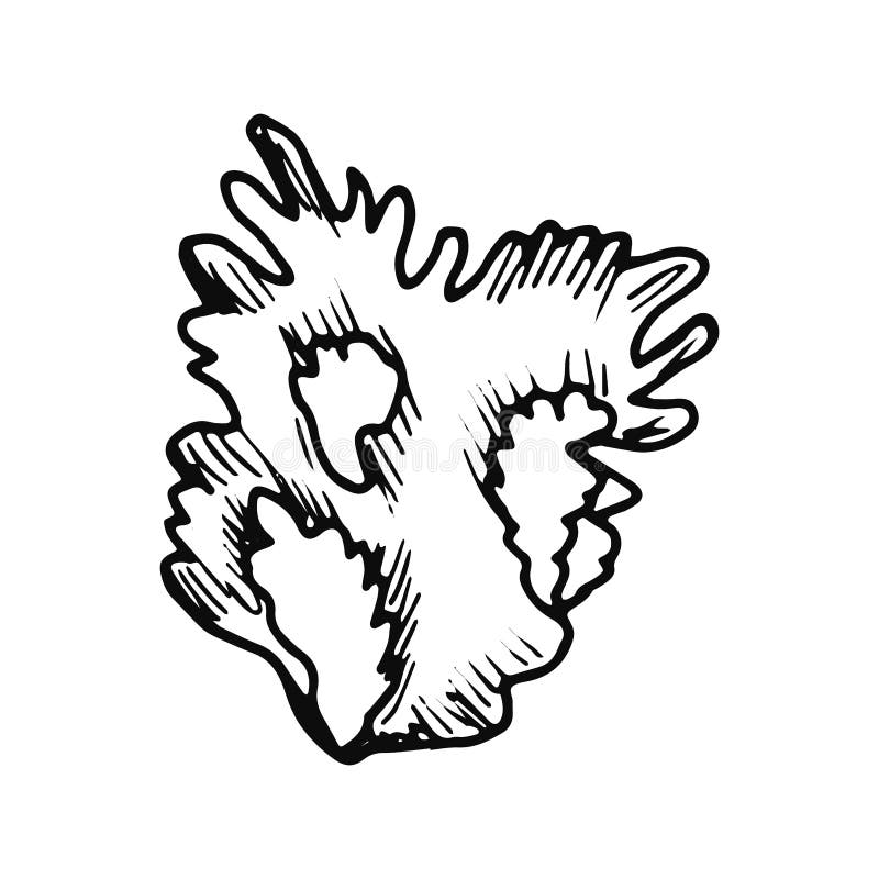 Coral Sketch Isolated. Hand Drawing Plant Vector Stock Vector ...