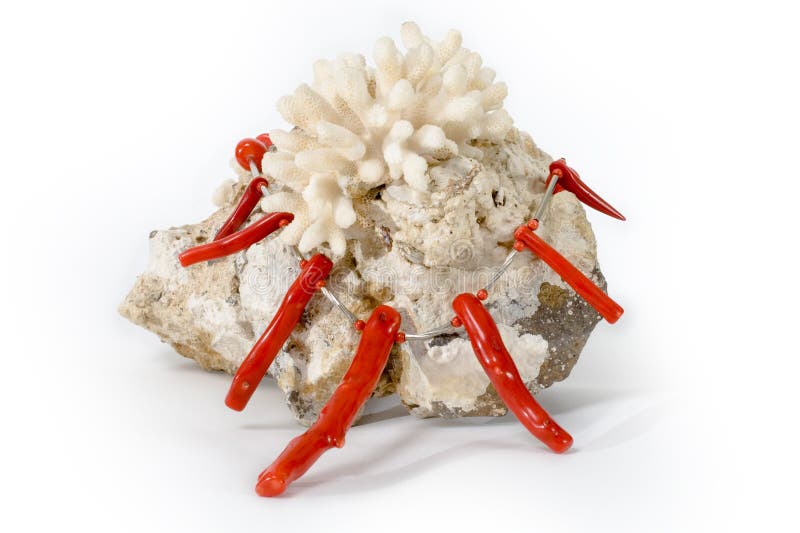 Coral on Stone with Necklace Made of Corals Stock Image - Image of ...