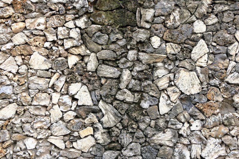 Coral Stone Pattern Wall in Bali, Indonesia Stock Image - Image of ...