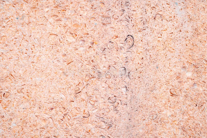 Coral Stone Porous Texture with Splashes of Shell Rock. Brickwork of a ...