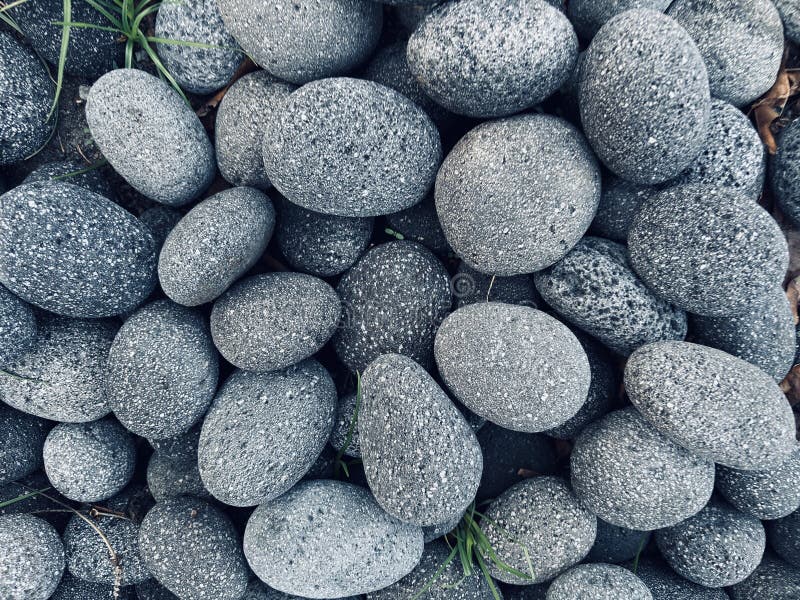 Coral stone stock photo. Image of food, corals, boulder - 345887998