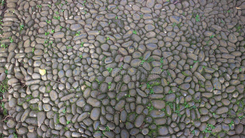 Coral Stone Texture Neatly Arranged for Road Access Stock Image - Image ...