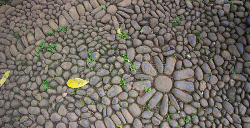 Coral Stone Texture Neatly Arranged for Road Access Stock Image - Image ...