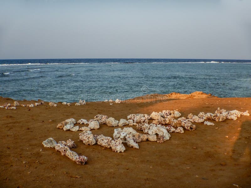 Coral Stones at the Beach in Form from a Texture Stock Image - Image of ...