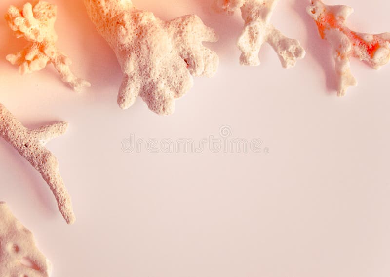Coral Stones on White Background Stock Photo - Image of background ...