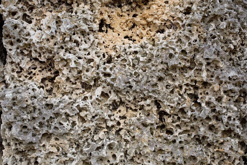 Coral Texture Background stock image. Image of surface - 43187857