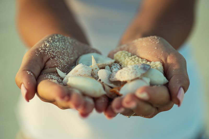 Corals and Shells Lying on White Sand Beach, Salvage Corals, Underwater ...