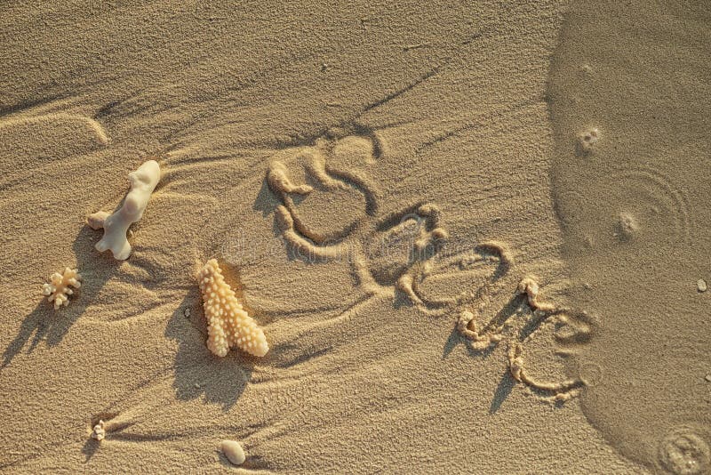 Corals and Shells Lying on White Sand Beach, Salvage Corals, Underwater ...