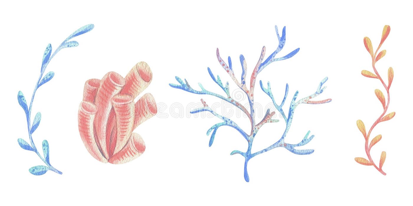 Tubular Branches Stock Illustrations 7 Tubular Branches Stock