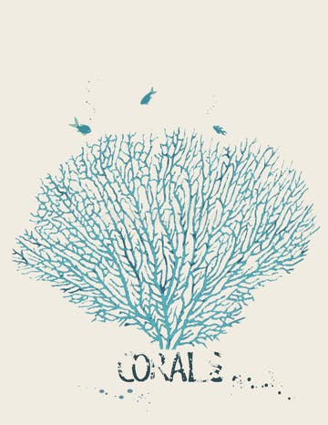 Fan Coral Stock Illustrations – 1,724 Fan Coral Stock Illustrations ...