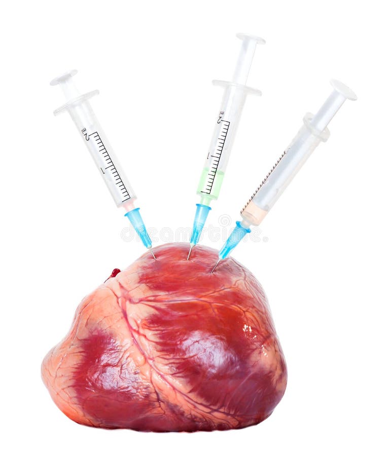 Corazón verdadero foto de archivo. Imagen de humano, ciencia - 40710152