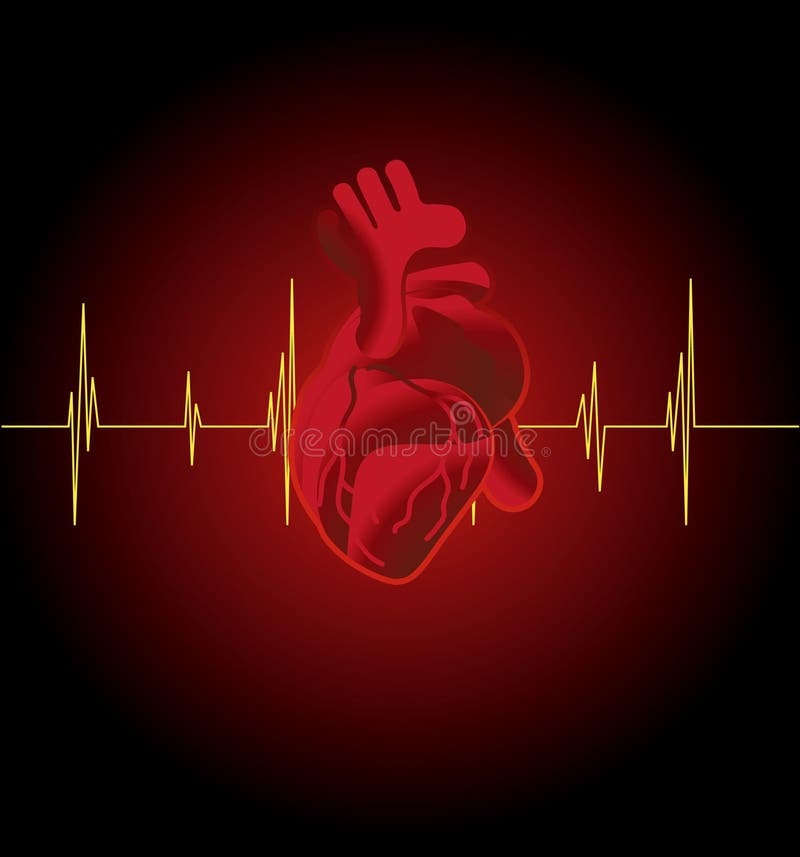 Pulso Del Corazón, Línea Ejemplo Del Vector, Latido Del Corazón Del ...