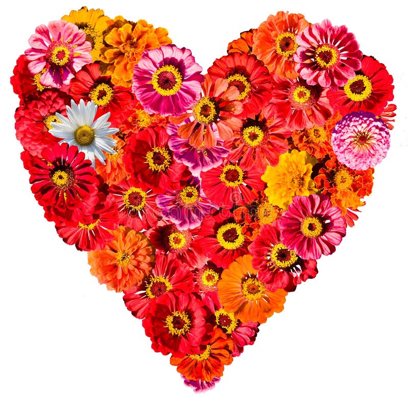 Corazón de la flor imagen de archivo. Imagen de mezclado - 19209027