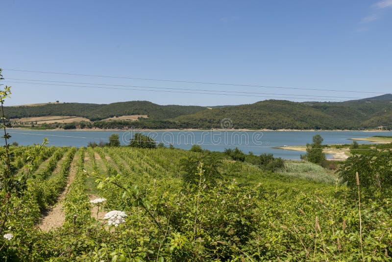 Corbara Lake in the Province of Perugia Stock Photo - Image of lago ...