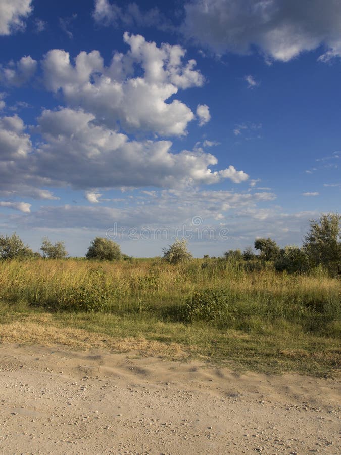 Corbu reserve stock image. Image of romania, danube, virgin - 75862323