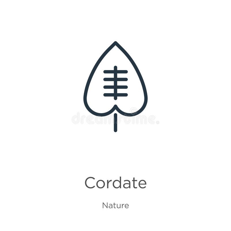 Cordate Leaf Stock Illustrations – 84 Cordate Leaf Stock Illustrations ...