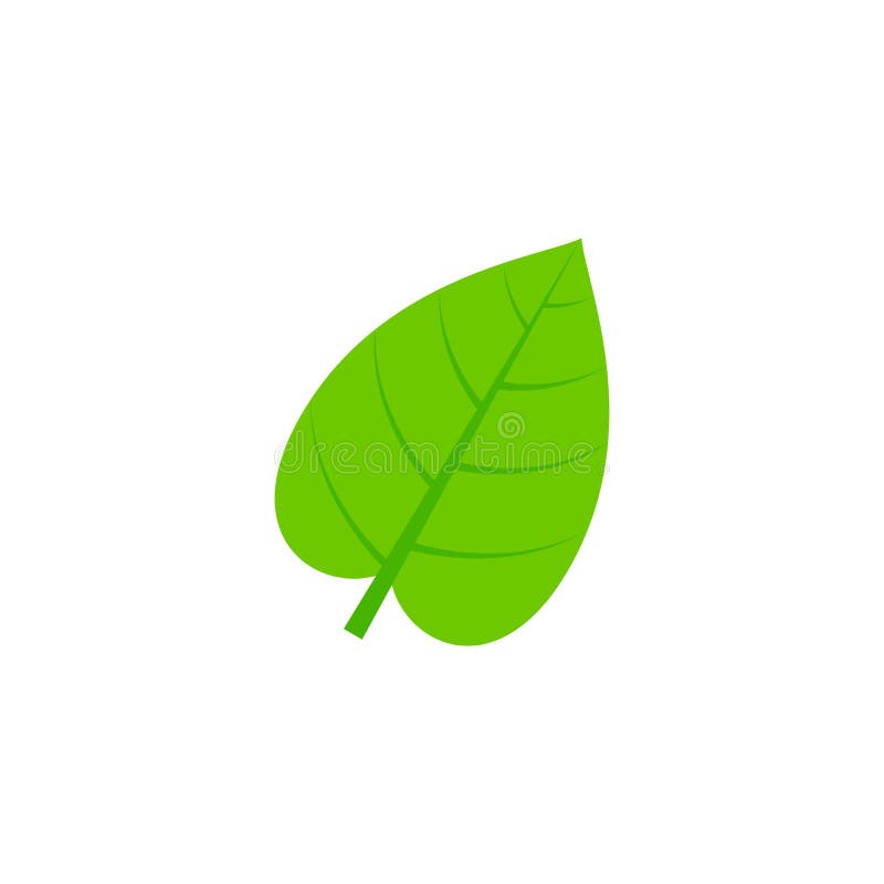 Cordate Leaf Stock Illustrations – 101 Cordate Leaf Stock Illustrations ...