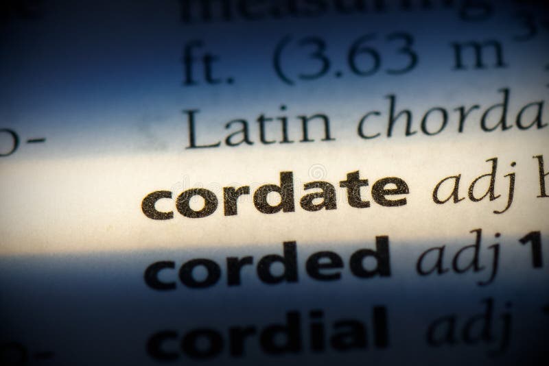 783 Cordate Stock Photos - Free & Royalty-Free Stock Photos from Dreamstime