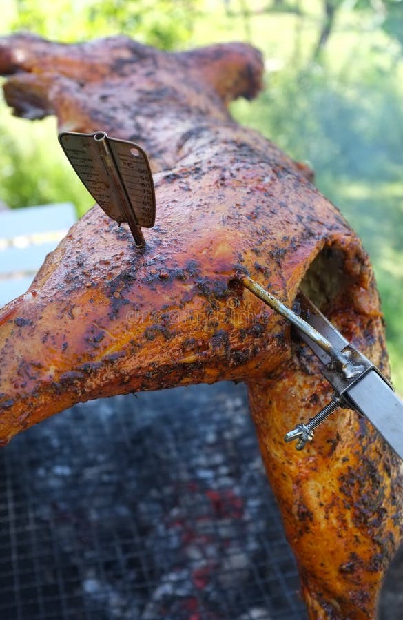 Cordeiro inteiro do BBQ imagem de stock. Imagem de rapina - 20401127