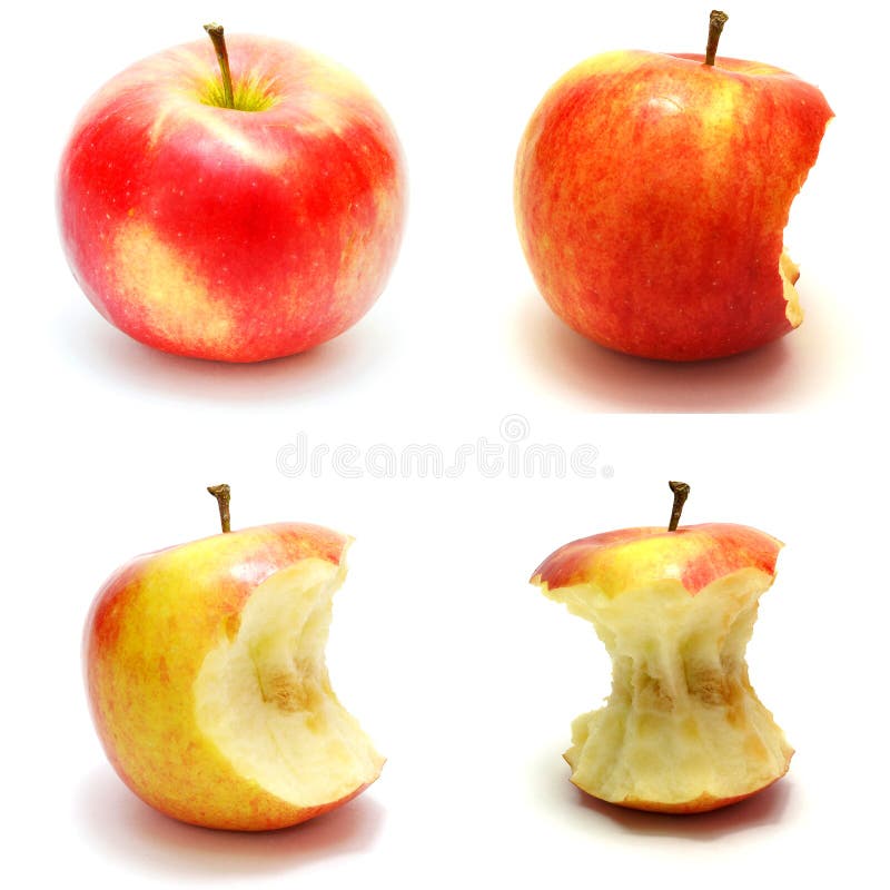 Core of Apple stock image. Image of food, core, diet - 10282723