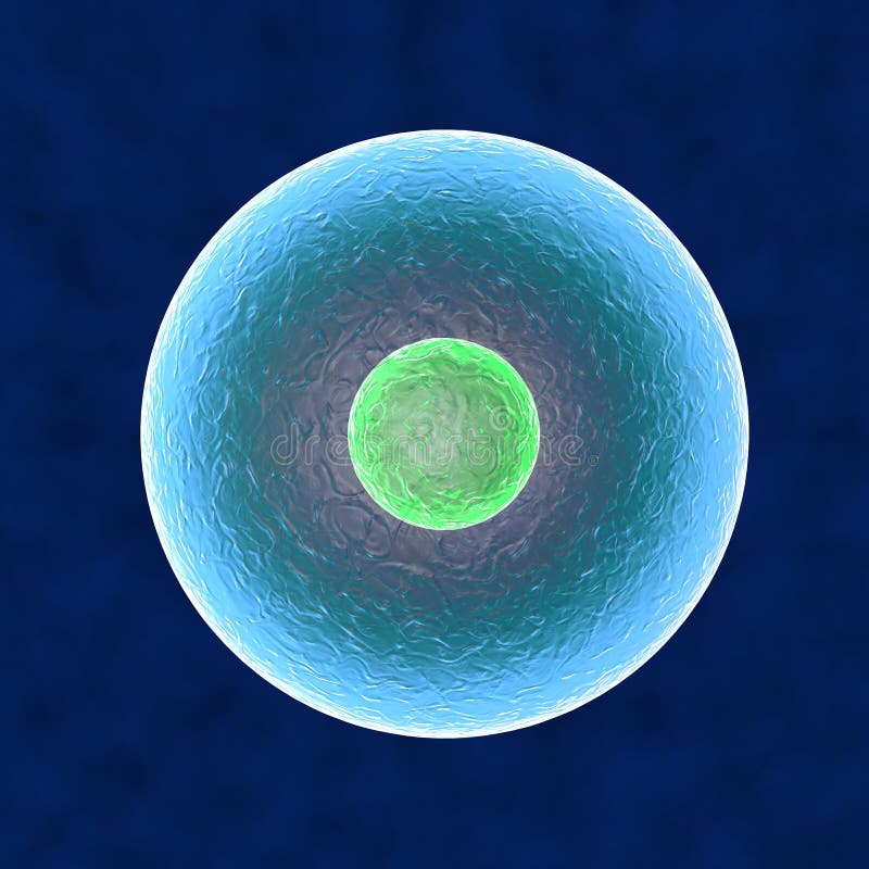 Core cell stock illustration. Illustration of body, laboratory - 33702463