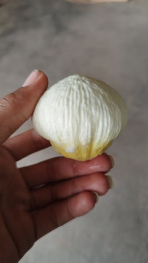 The Core of a Coconut and in Central Borneo it is Called TUMBUNG Stock ...