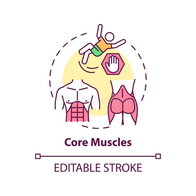 Core muscles concept icon stock vector. Illustration of sport - 209913363