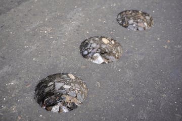 Core Samples Showing Cross Section of Asphalt Road Stock Image - Image ...