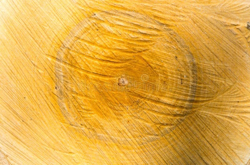 Core Sawn Wood of Birch Closeup Stock Photo - Image of cleft, forest ...