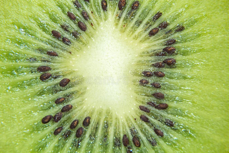 Core kiwi close up stock photo. Image of green, medicine - 15028678