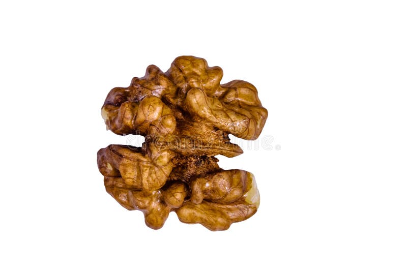 Core of Walnut Isolated on a White Background Stock Image - Image of ...