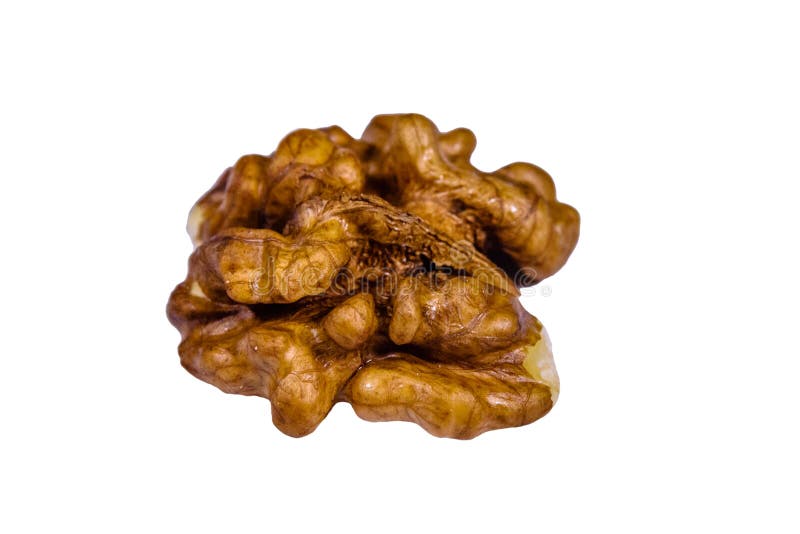 Core of Walnut Isolated on a White Background Stock Photo - Image of ...
