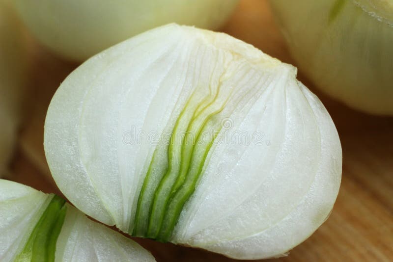 The core of a young onion. stock photo. Image of natural - 172197084