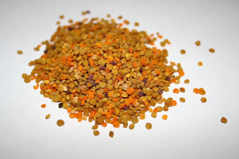 Coregone lavarello immagine stock. Immagine di marrone - 1394931